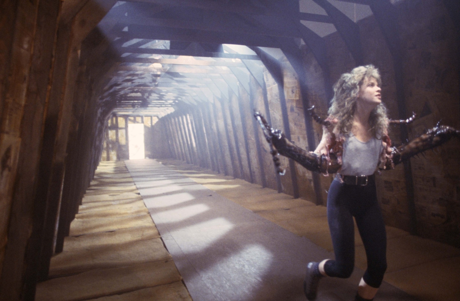 10 Favorite 'A Nightmare on Elm Street' Moments - Robert V Galluzzo